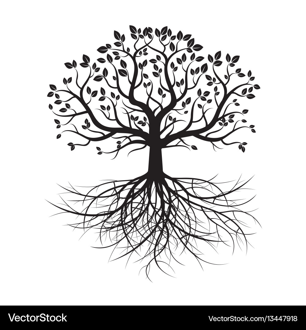 Free Black And White Svg Rooted In Christ Tree - 131+ SVG PNG EPS DXF ...