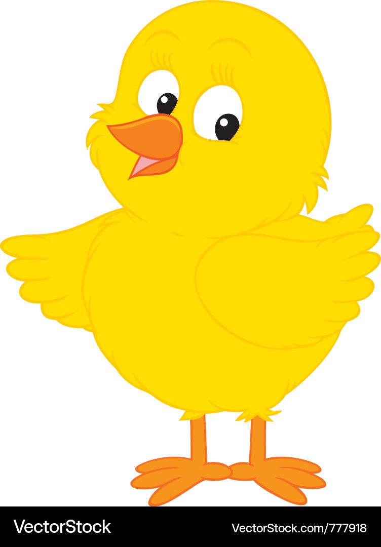 Chick Royalty Free Vector Image - VectorStock