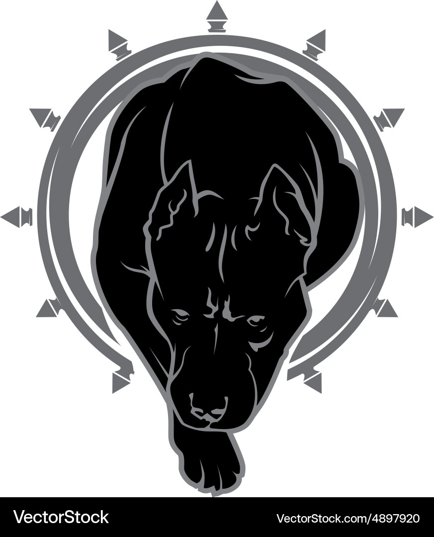 Pit bull logo Royalty Free Vector Image - VectorStock