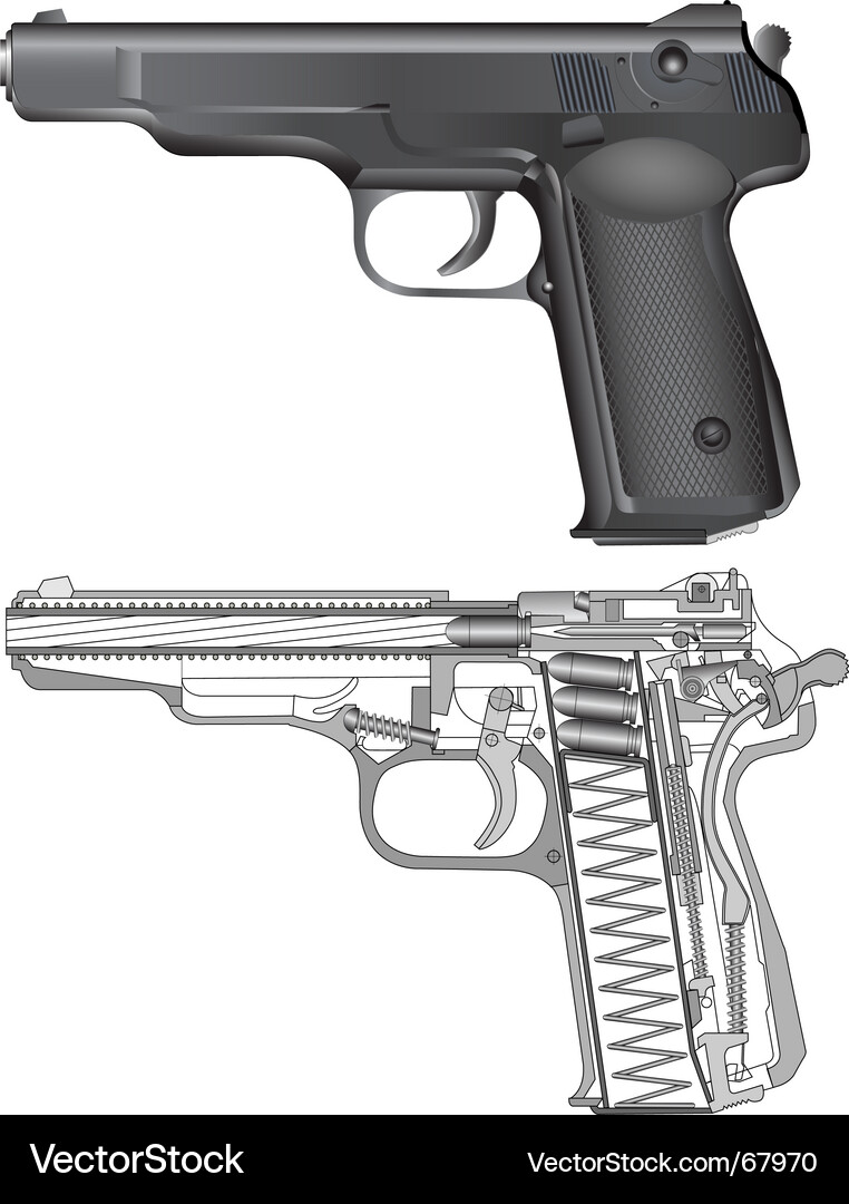 Cross section of a gun Royalty Free Vector Image