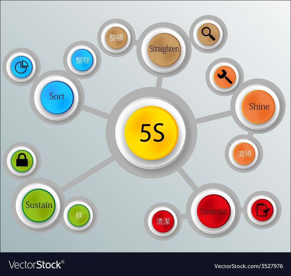 5S method infographic Royalty Free Vector Image