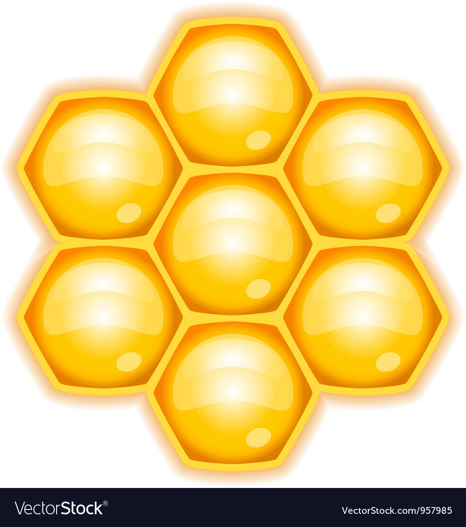 Honeycomb Royalty Free Vector Image - VectorStock