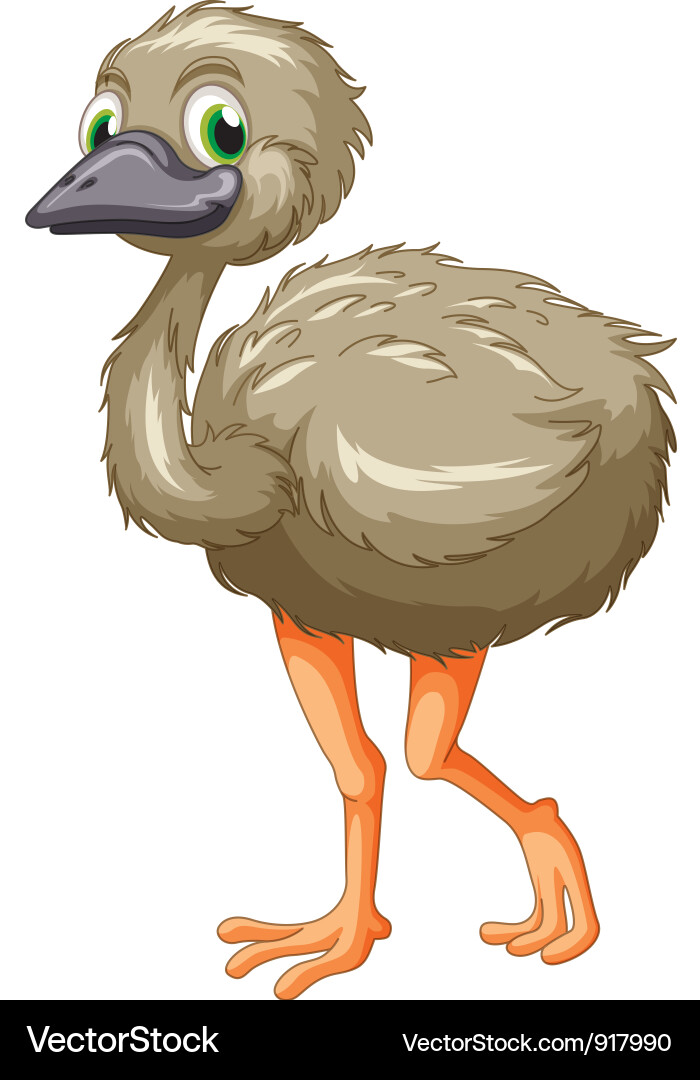 Emu cartoon Royalty Free Vector Image - VectorStock