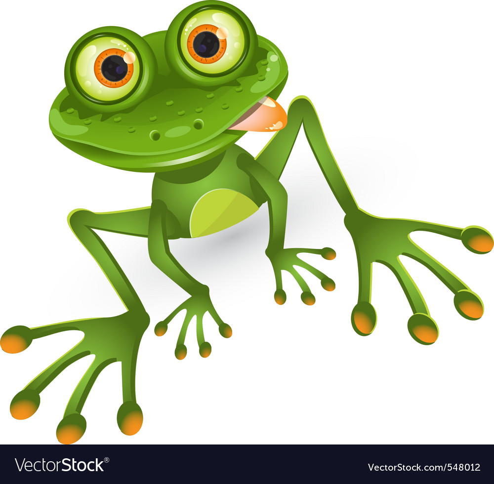 Frog Royalty Free Vector Image - VectorStock