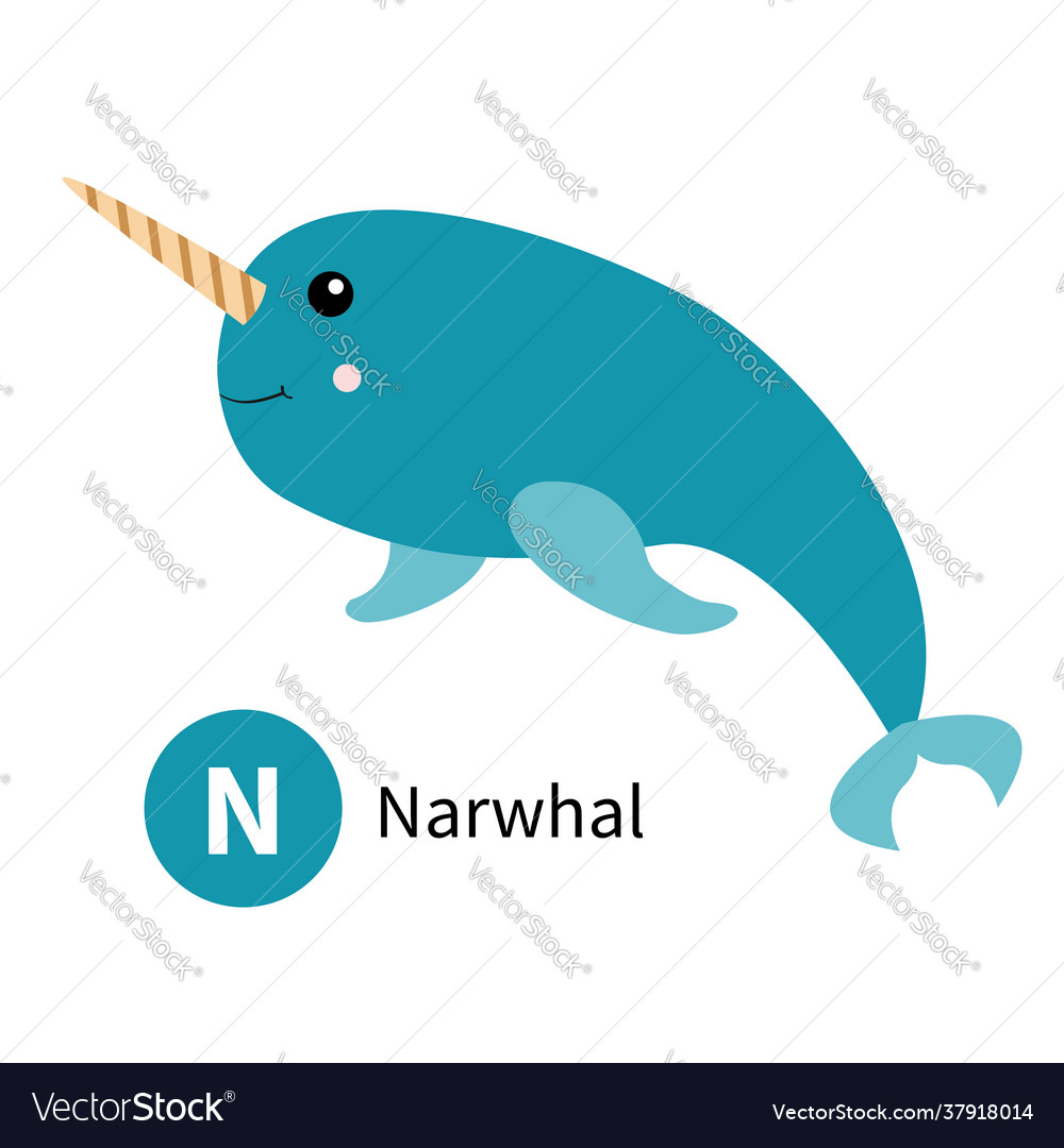 Letter n narwhal zoo animal alphabet english abc Vector Image