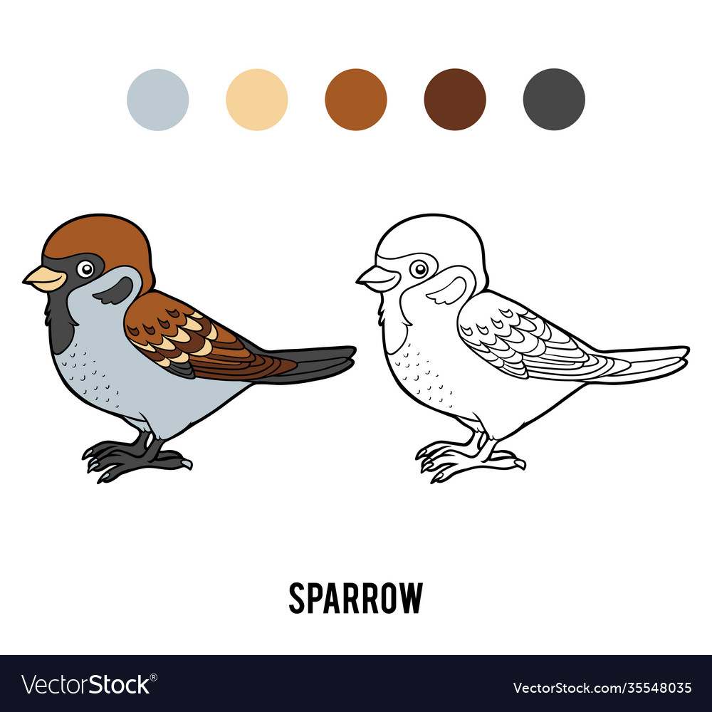 Coloring book for children sparrow Royalty Free Vector Image