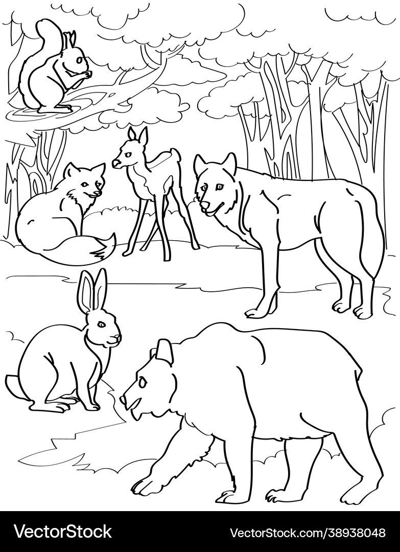 Different forest creatures deer fox wolf bear Vector Image