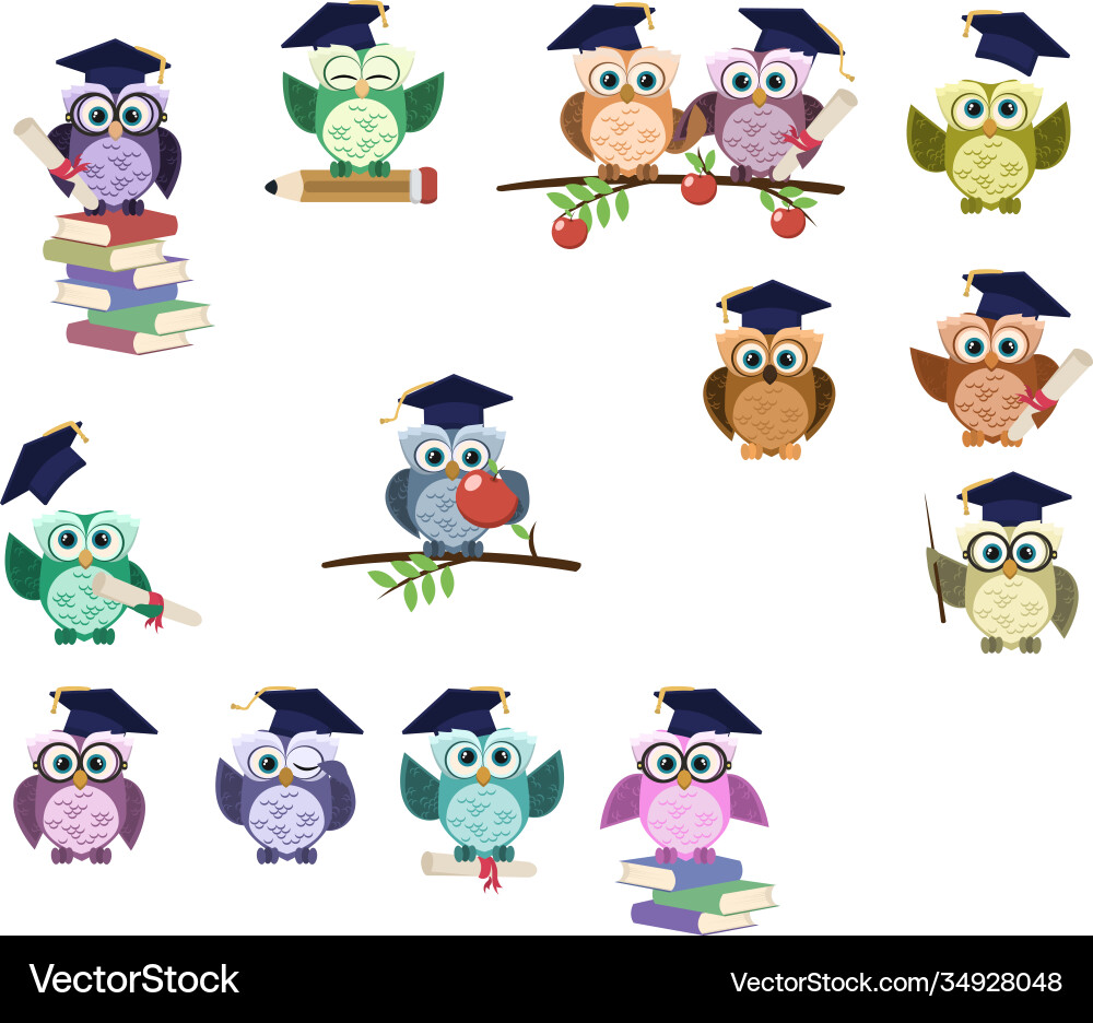 Set graduation owl back to school graduation Vector Image