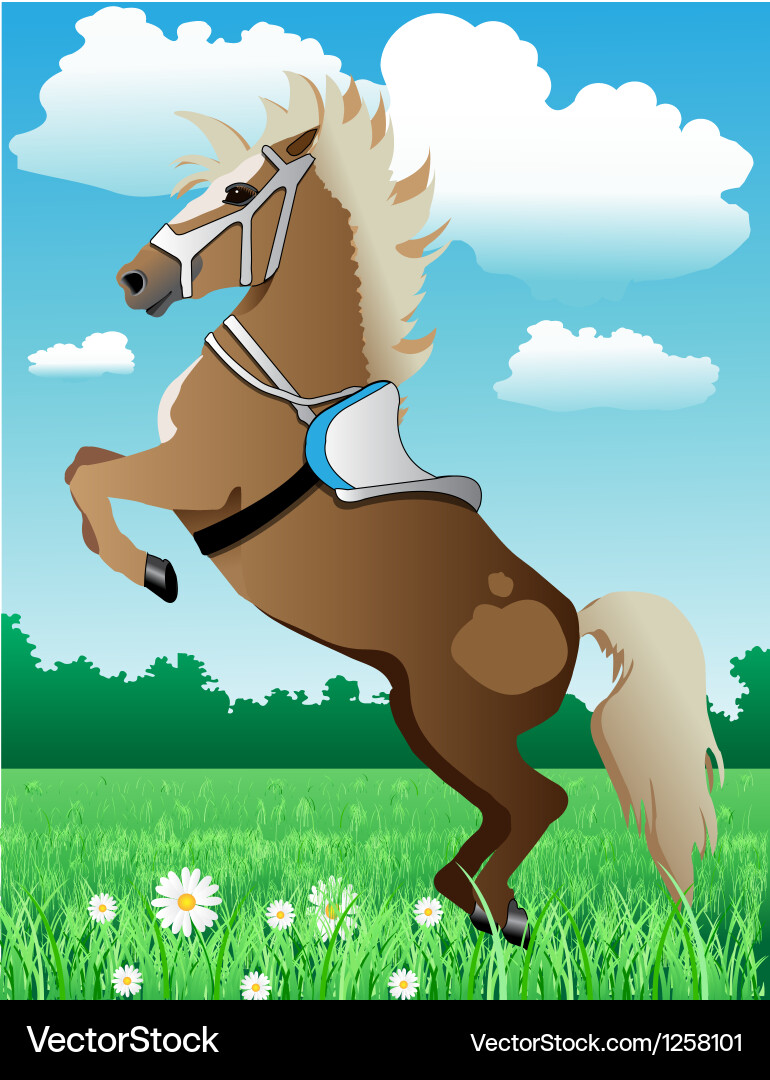Prancing pony Royalty Free Vector Image - VectorStock
