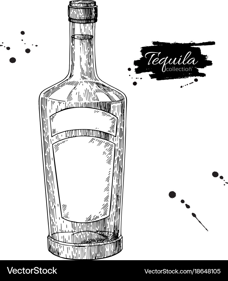 Tequila bottle drawing vodka cocktail alcohol Vector Image