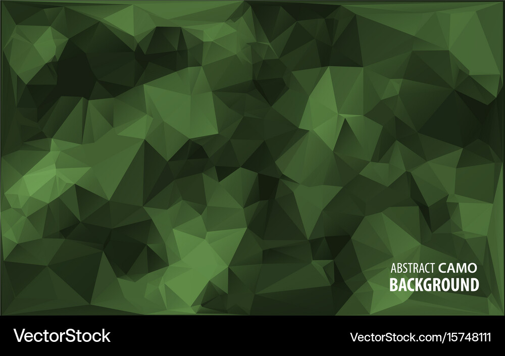 Abstract military camouflage background made Vector Image