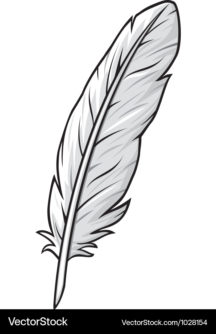 Feather Royalty Free Vector Image - VectorStock