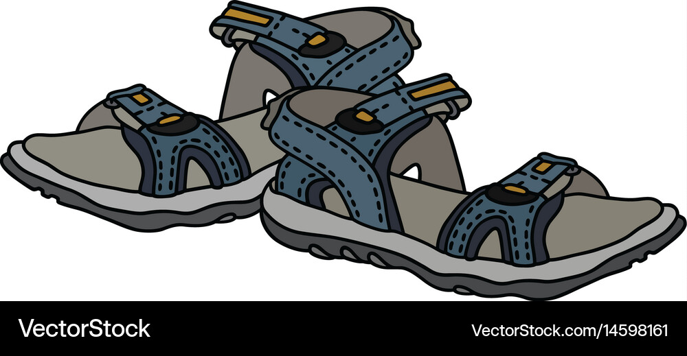 Blue sport sandals Royalty Free Vector Image - VectorStock