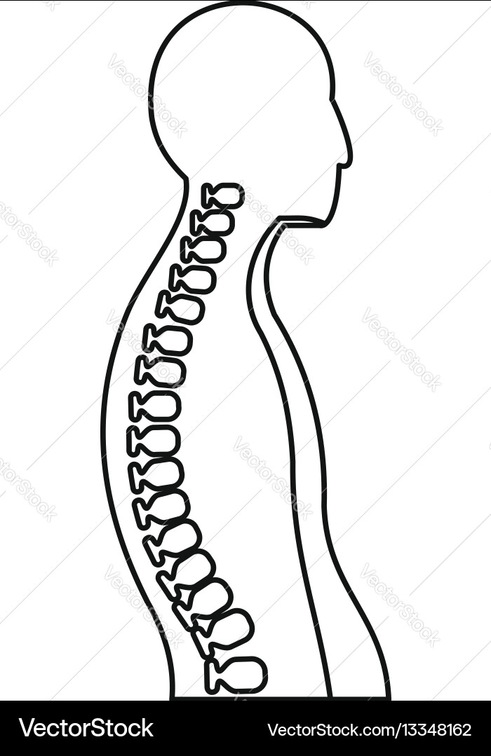 Human spine icon outline style Royalty Free Vector Image