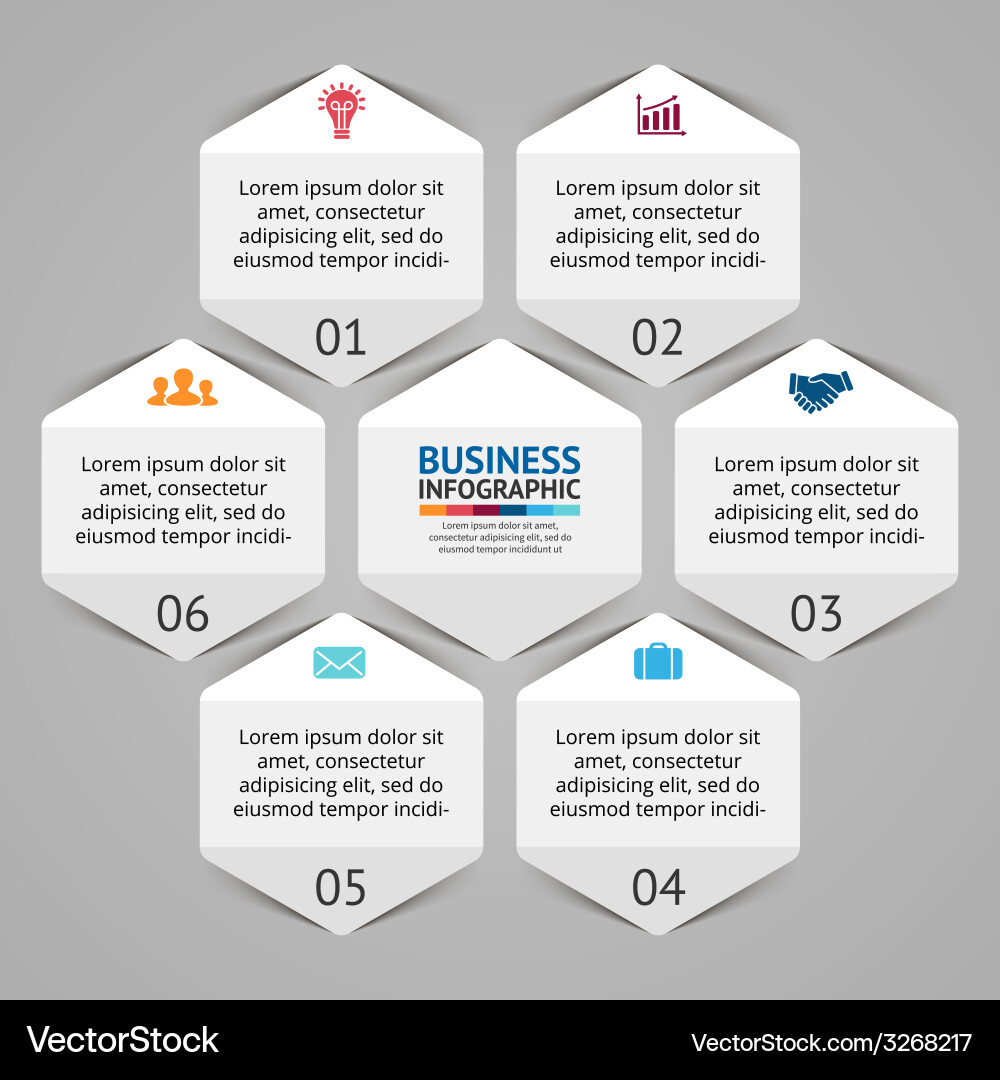White hexagons circle infographic template Vector Image