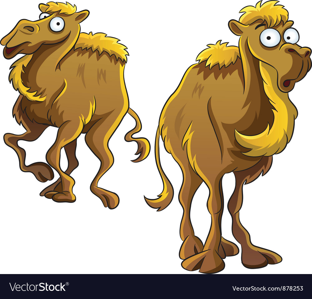 Funny Camel Royalty Free Vector Image - VectorStock