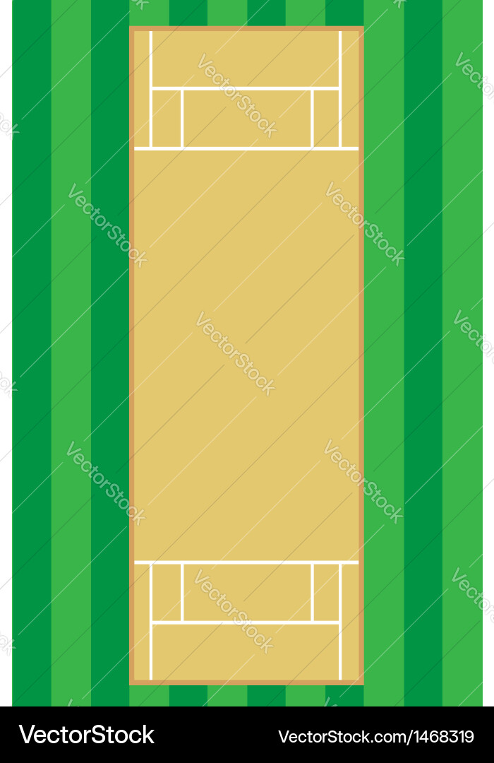 Cricket pitch Royalty Free Vector Image - VectorStock