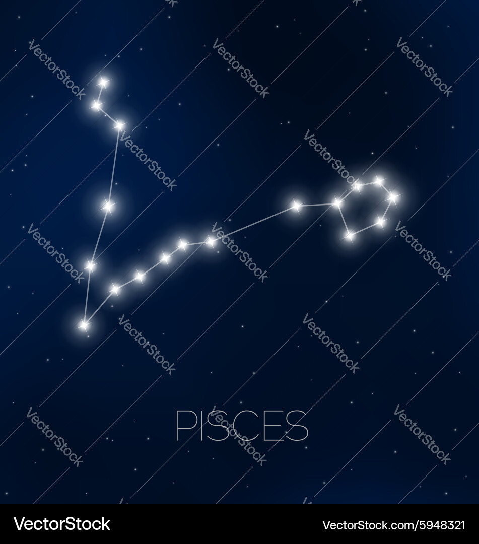 Pisces constellation Royalty Free Vector Image