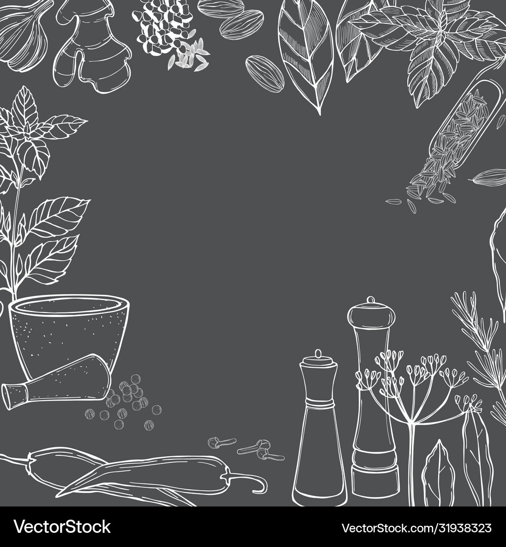 Background with hand drawn spices and herbs Vector Image