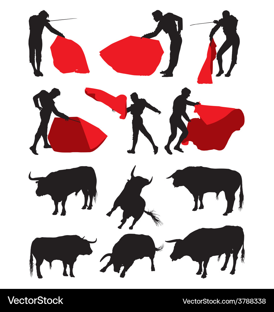 Bullfighting matadors Royalty Free Vector Image