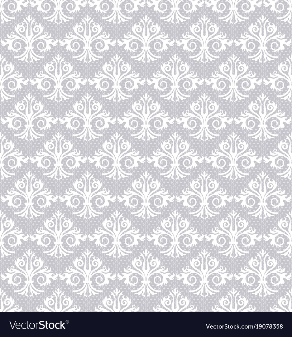 White lace pattern Royalty Free Vector Image - VectorStock