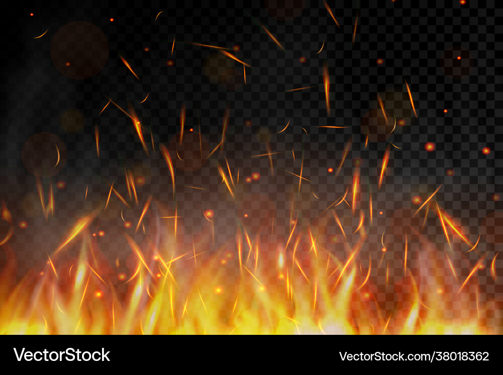 Fire sparks flying up on transparent Royalty Free Vector