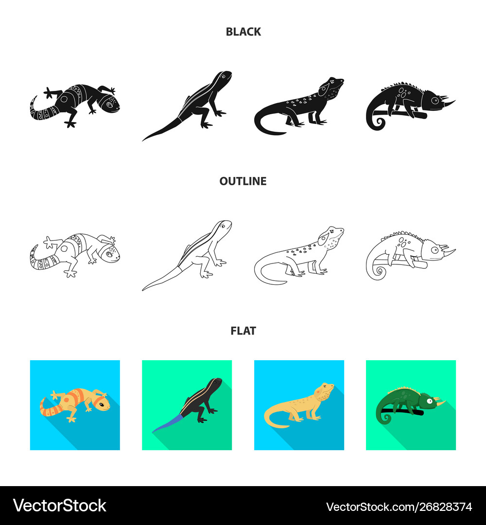 Isolated object tail and fauna icon set Royalty Free Vector