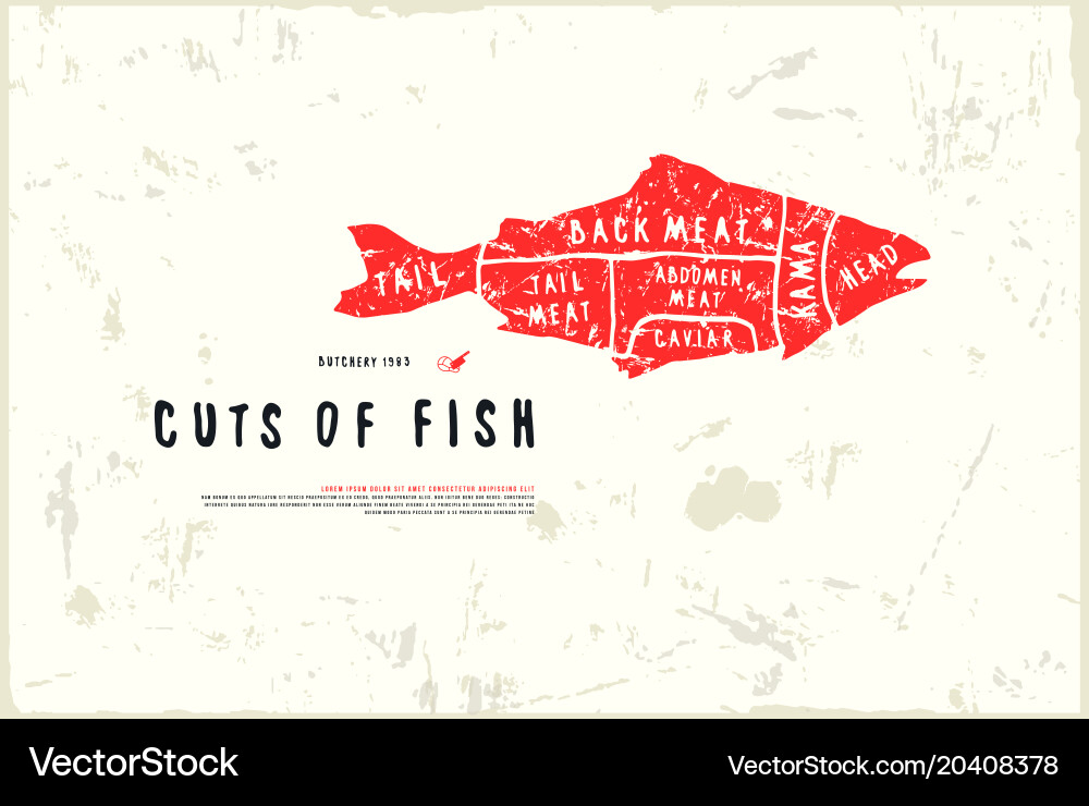 Stock fish cuts diagram Royalty Free Vector Image
