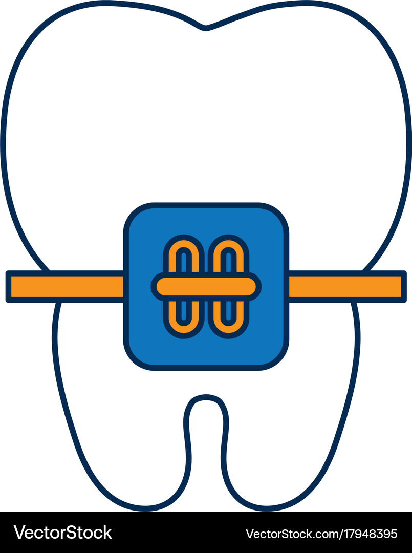 Tooth with bracket icon Royalty Free Vector Image