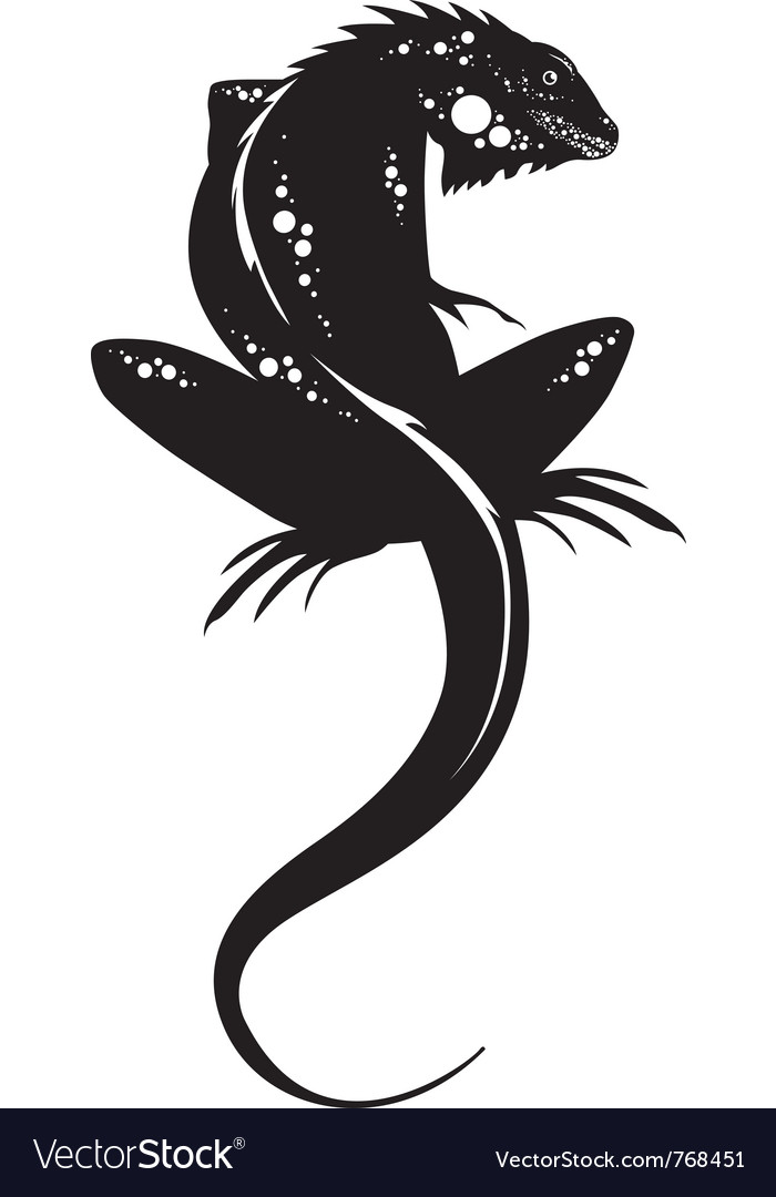 Lizard Royalty Free Vector Image - VectorStock
