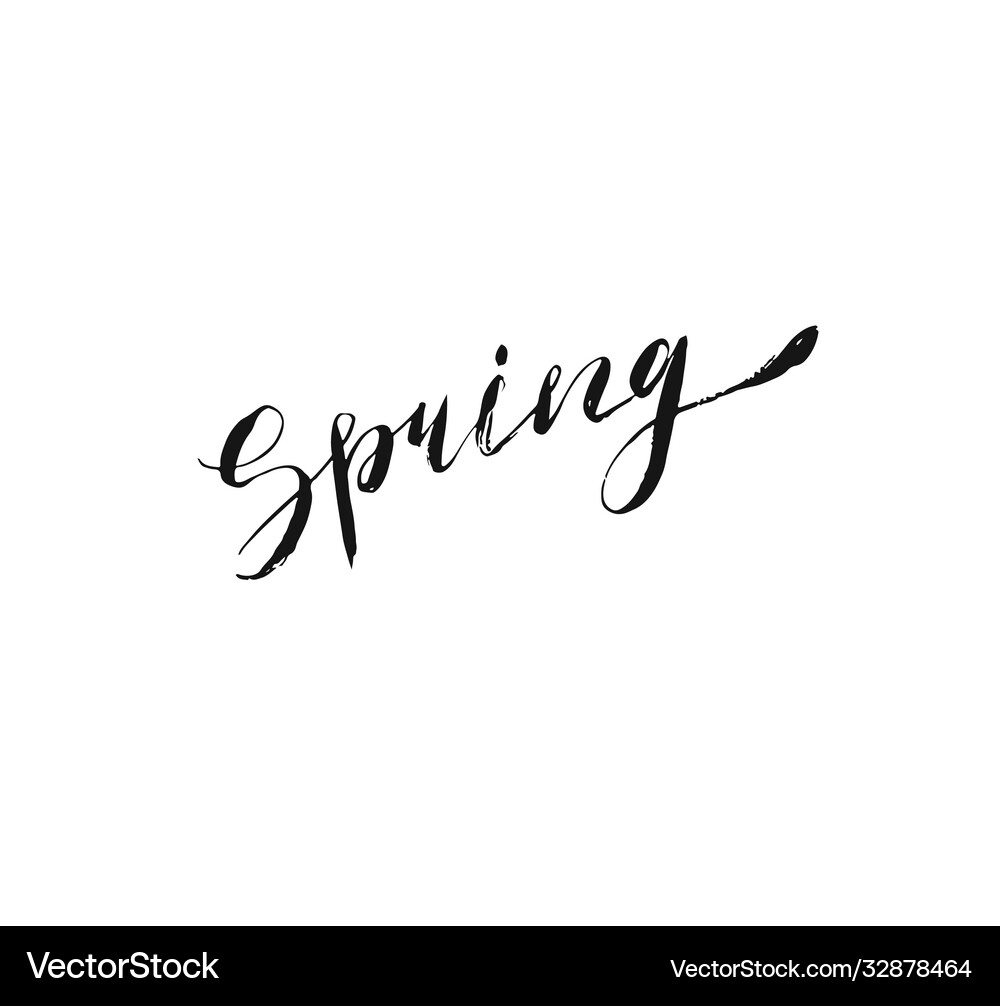 Hand drawn ink brush graphic handwritten Vector Image