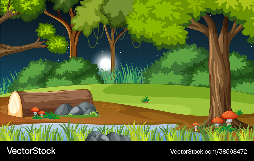 Nature forest at night scene with many trees Vector Image