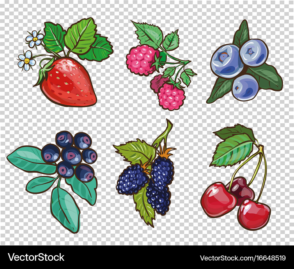 Big collection of hand drawn berries Royalty Free Vector