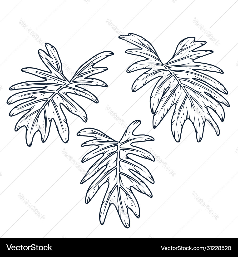 Seamless pattern tropical leaf monstera Royalty Free Vector