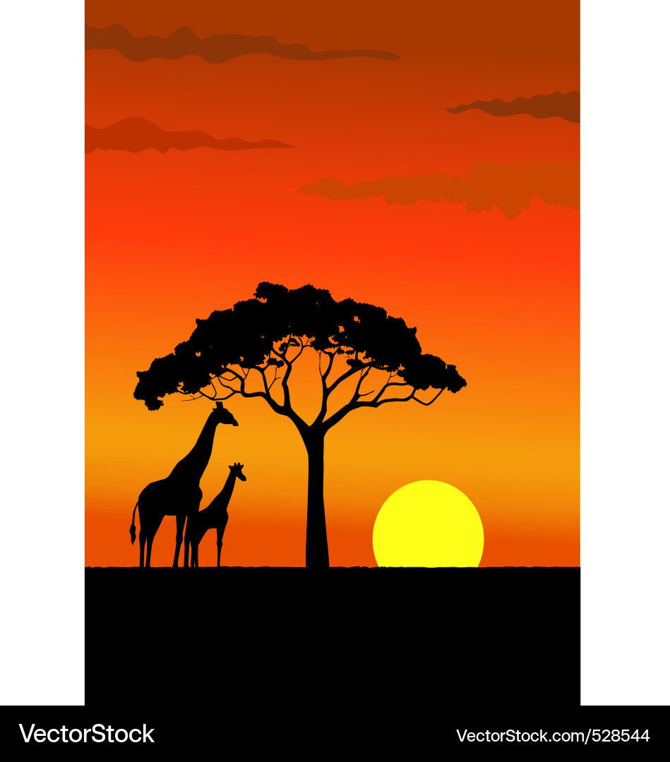 African sunset Royalty Free Vector Image - VectorStock