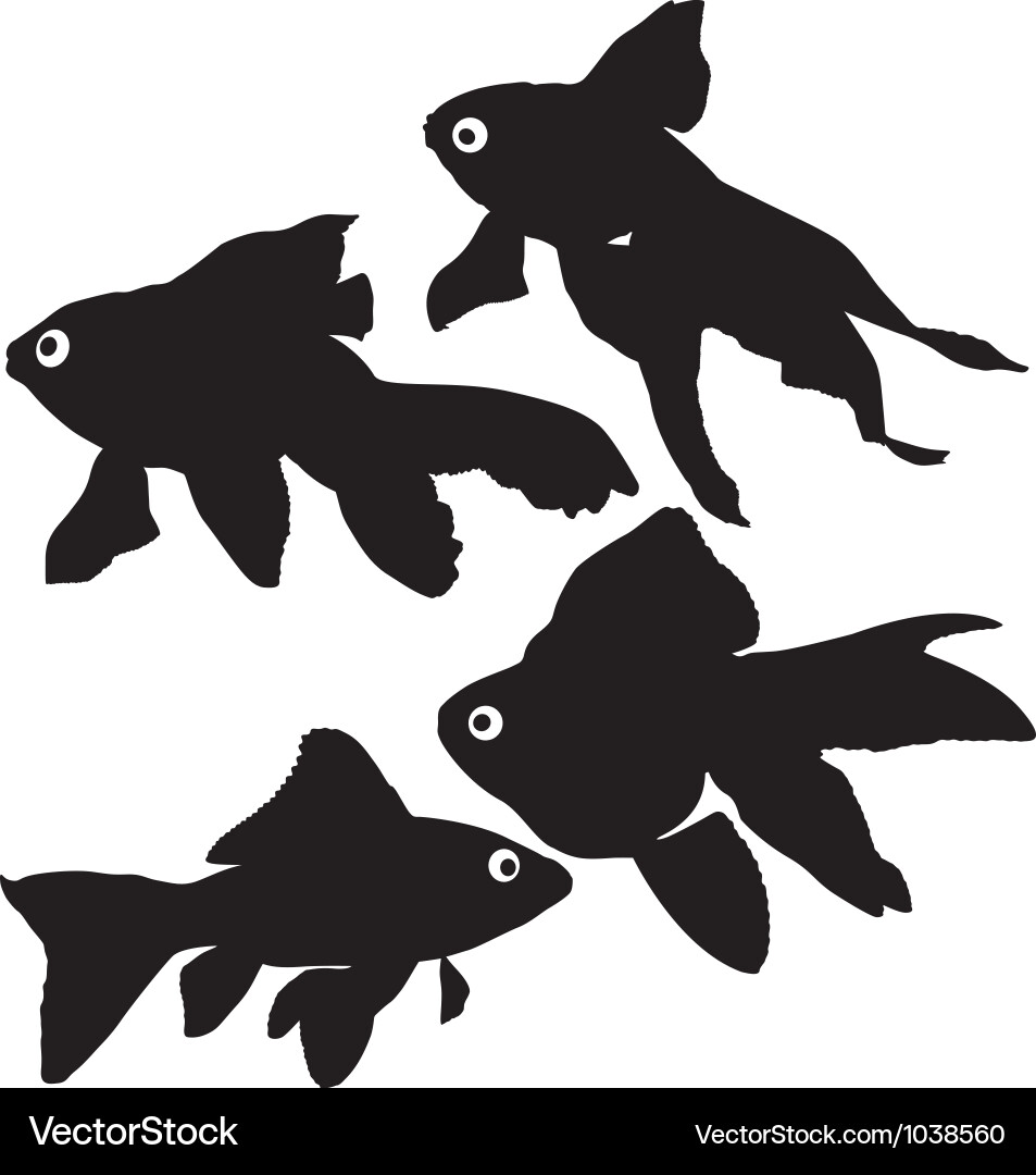 Goldfish or common fish silhouette Royalty Free Vector Image