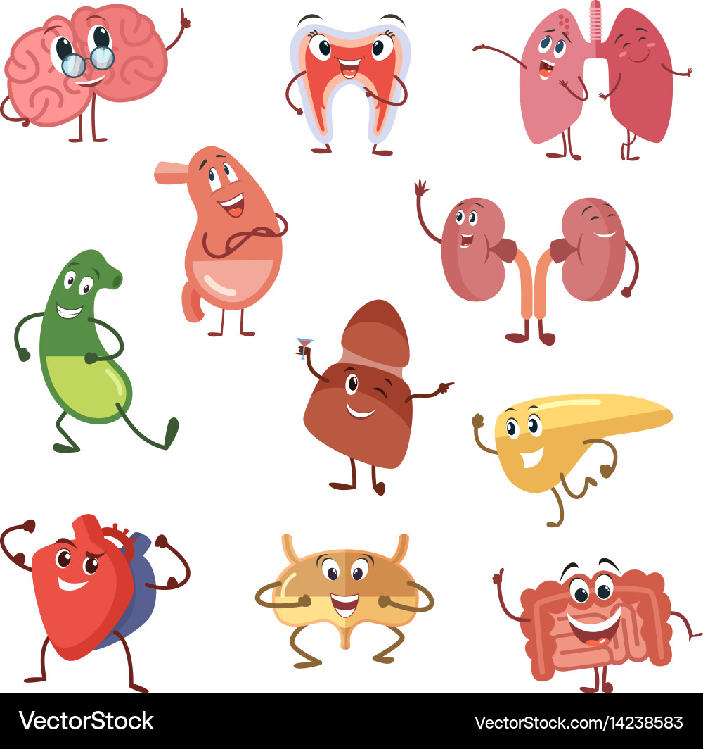 Human organs with funny emotions cartoon Vector Image