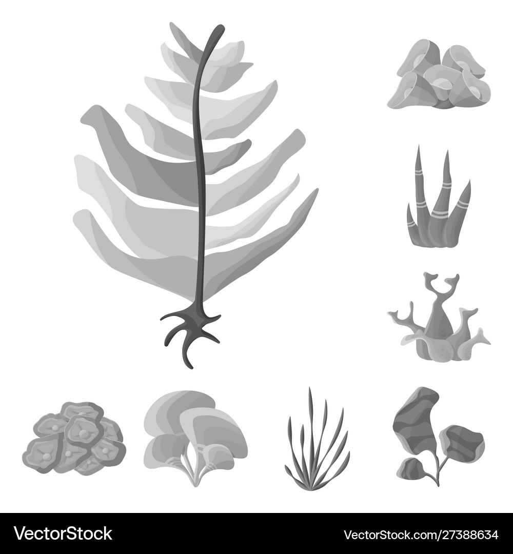 Design botanical and flora sign set Royalty Free Vector