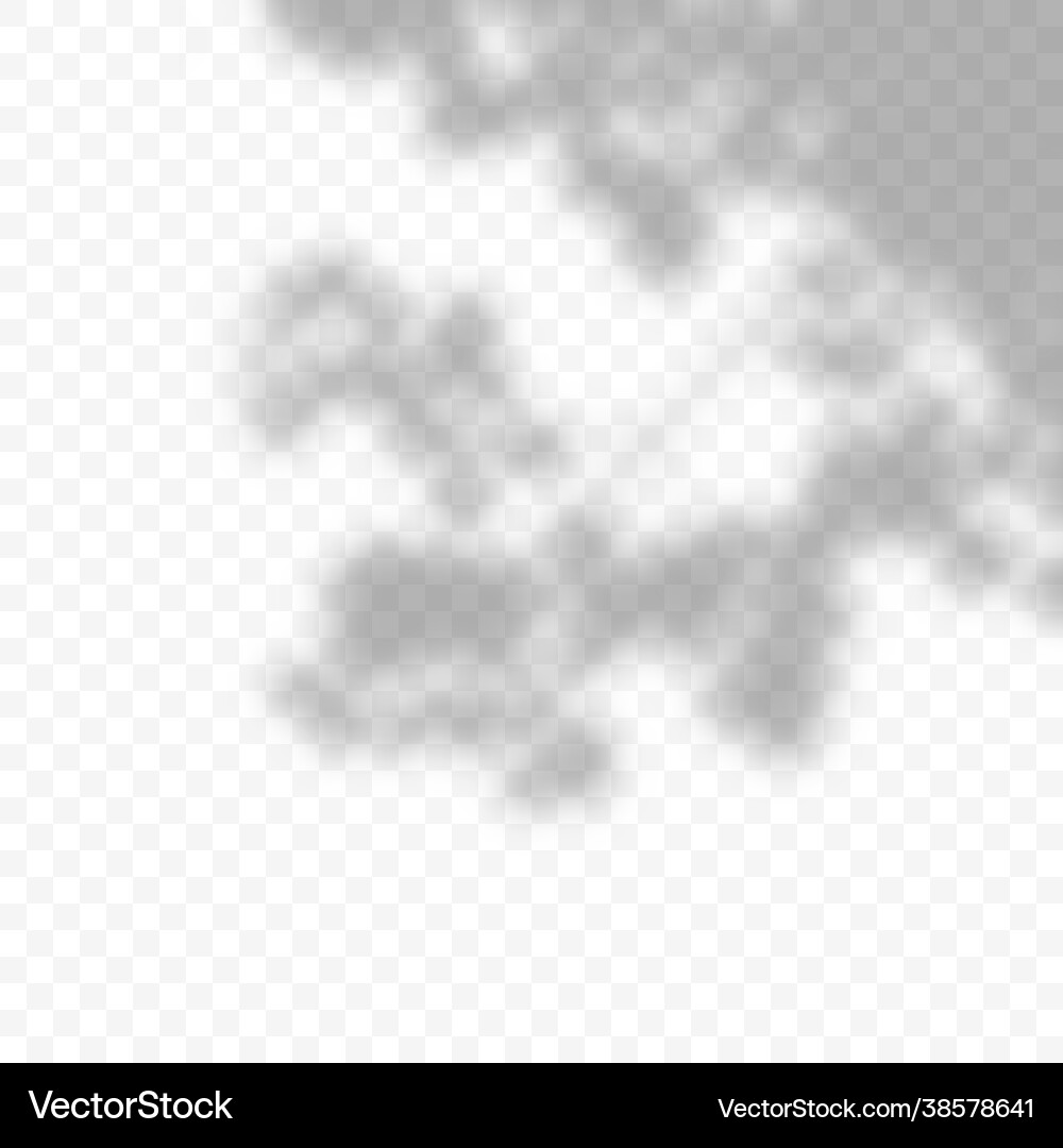 Realistic transparent overlay blured shadow Vector Image