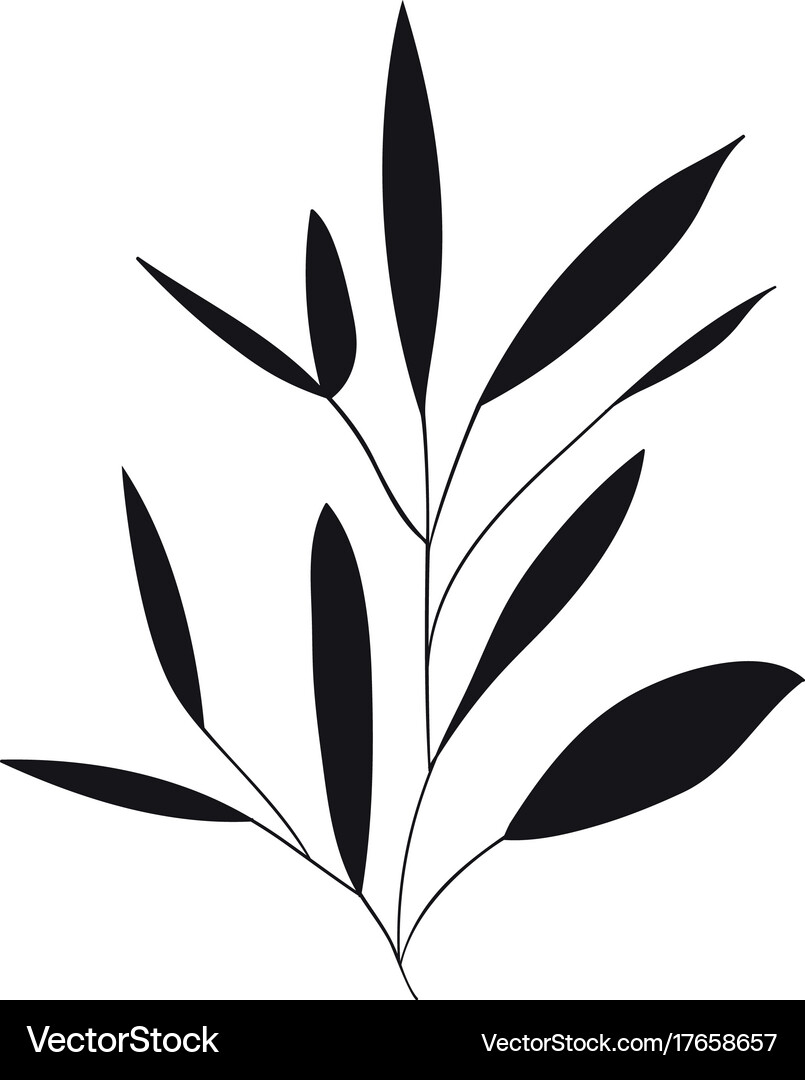 Ramification with leaves on monochrome silhouette Vector Image