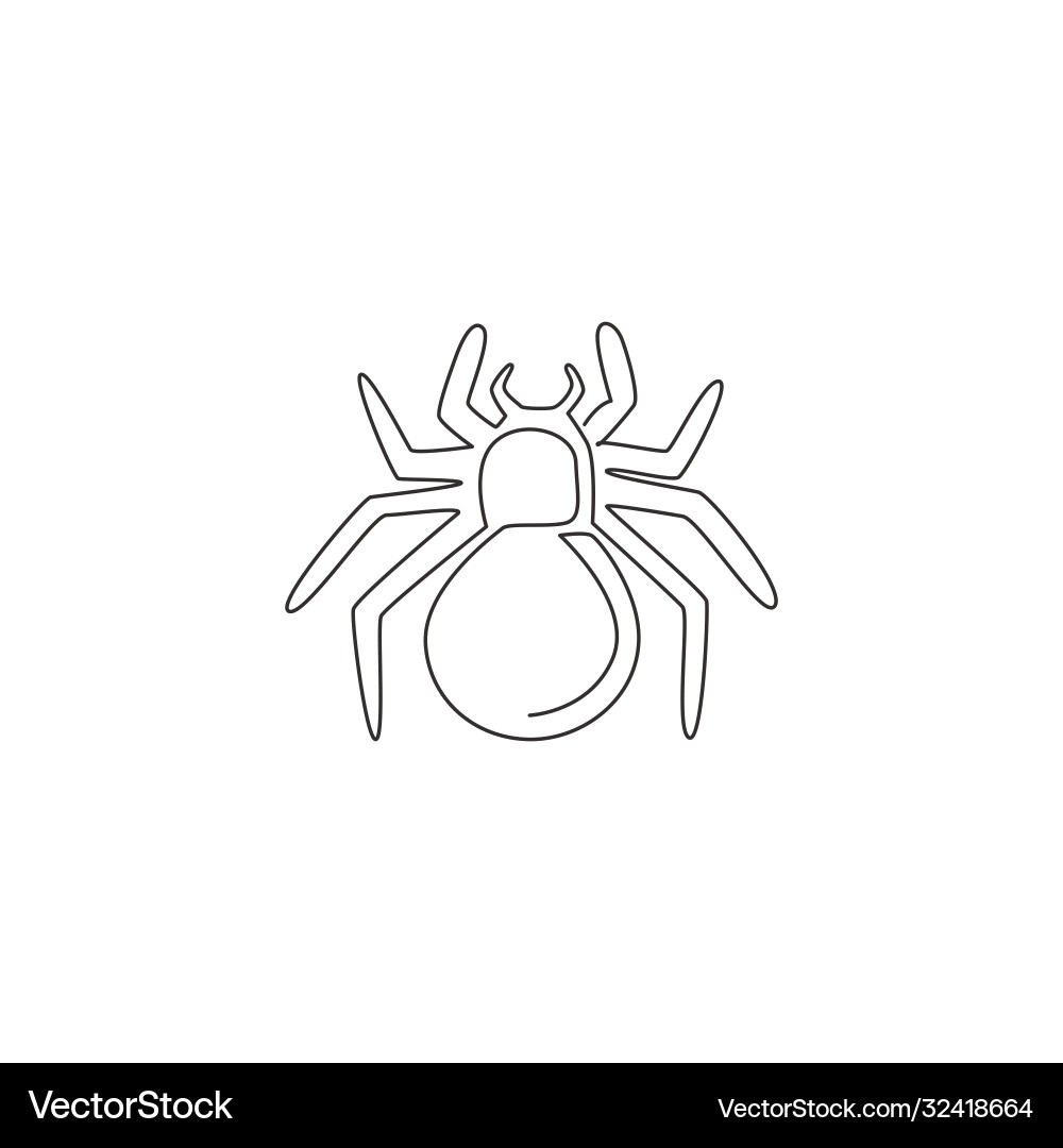 One single line drawing dangerous spider Vector Image