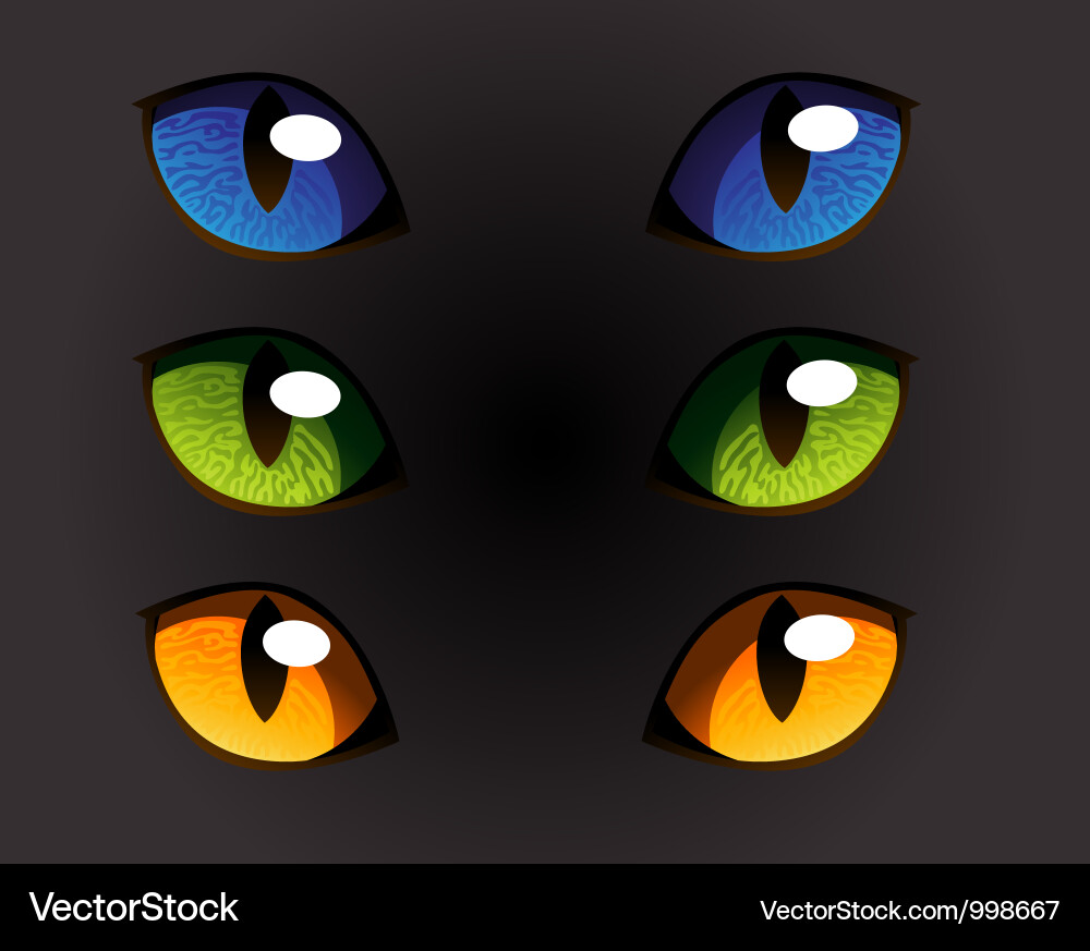 Wild Cat Eyes Royalty Free Vector Image - VectorStock