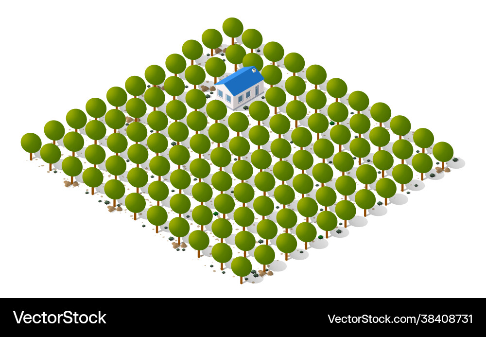 Nature forest landscape isometric Royalty Free Vector Image