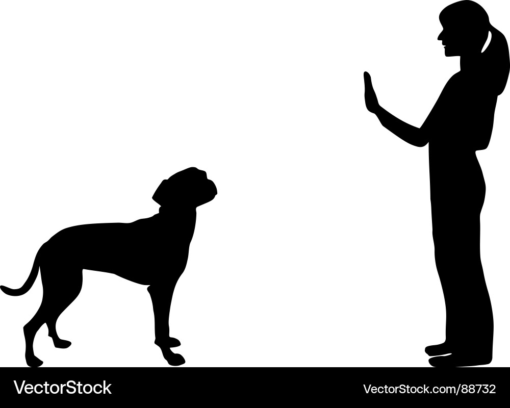 Dog training Royalty Free Vector Image - VectorStock