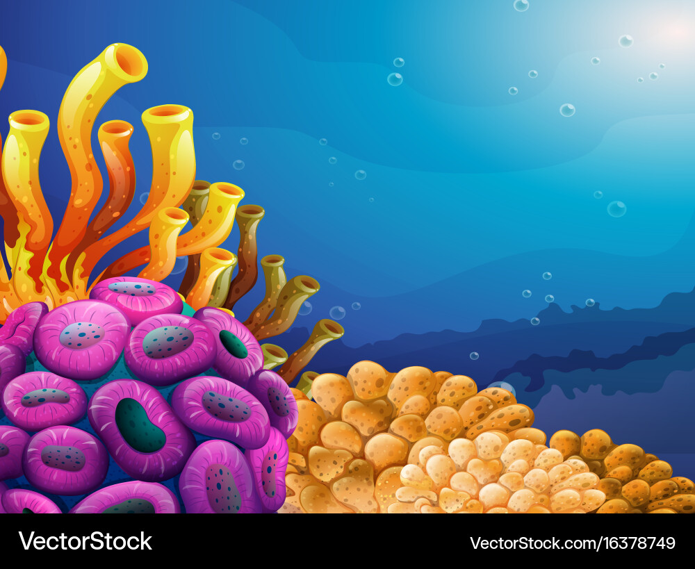Background scene with coral reef underwater Vector Image