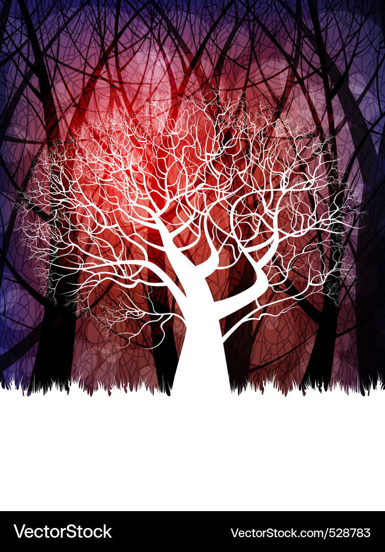 White tree - Stock Image - Everypixel
