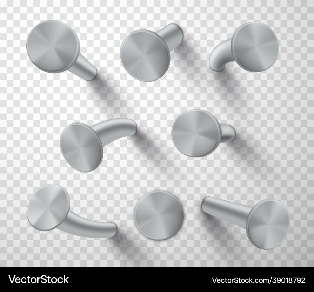 Wall hammered hardware galvanized stainless nails Vector Image