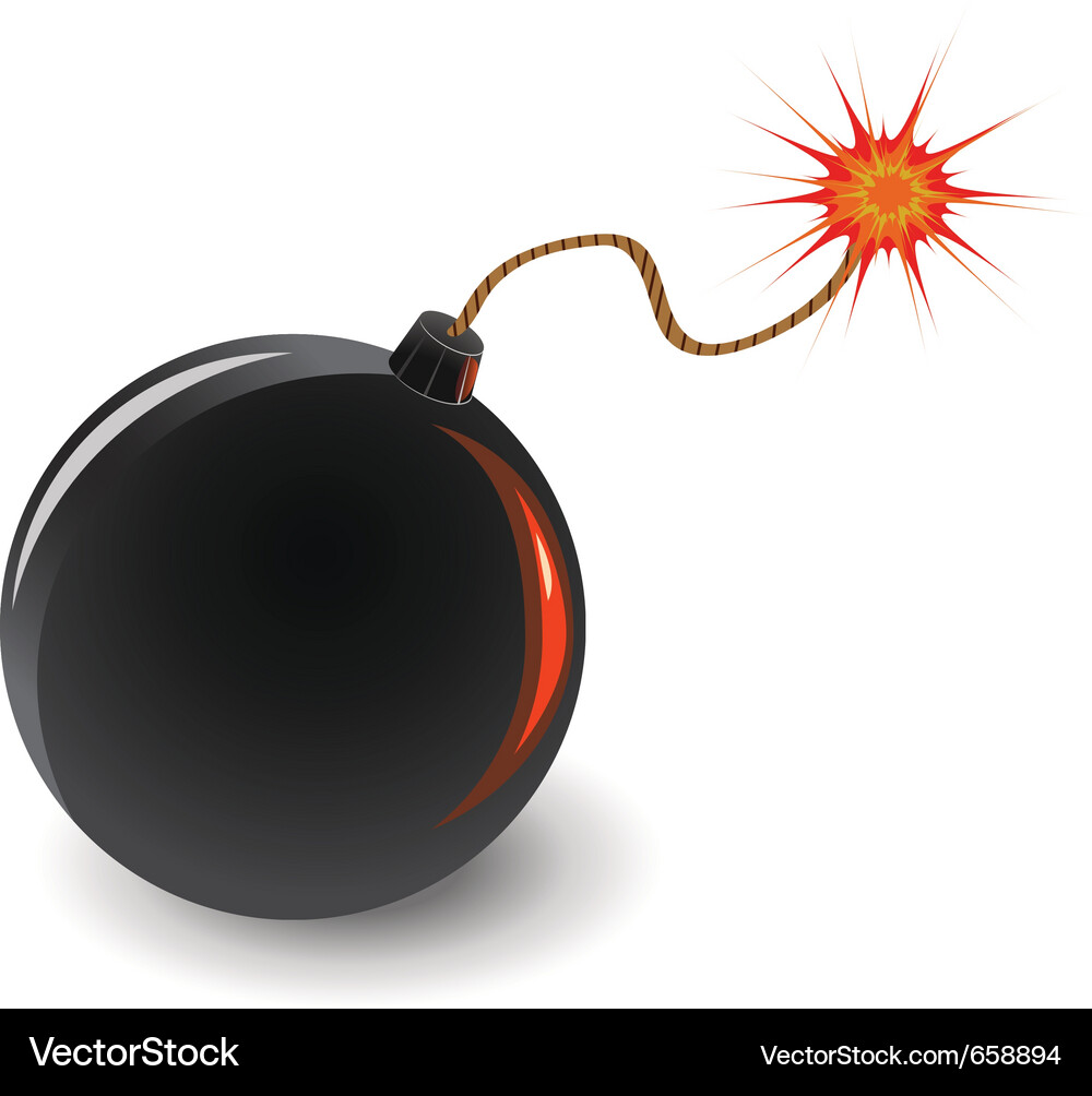 Bomb with burning fuse Royalty Free Vector Image