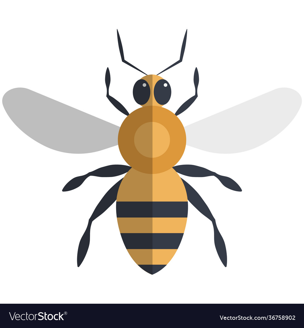 Bee flat icon isolated Royalty Free Vector Image