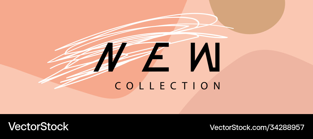 New collection advertising banner horizontal web Vector Image